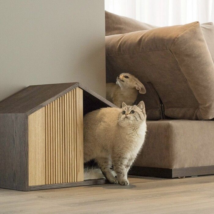 Toutes les raisons d’opter pour une maison de chat | Efnudat